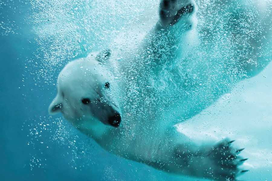 TCI | Interactive K-8 Science Curriculum | Online Science Textbook