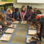 Engage All Learners | TCI