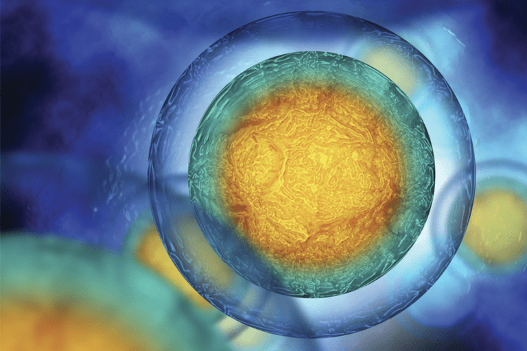 TCI | Interactive K-8 Science Curriculum | Online Science Textbook