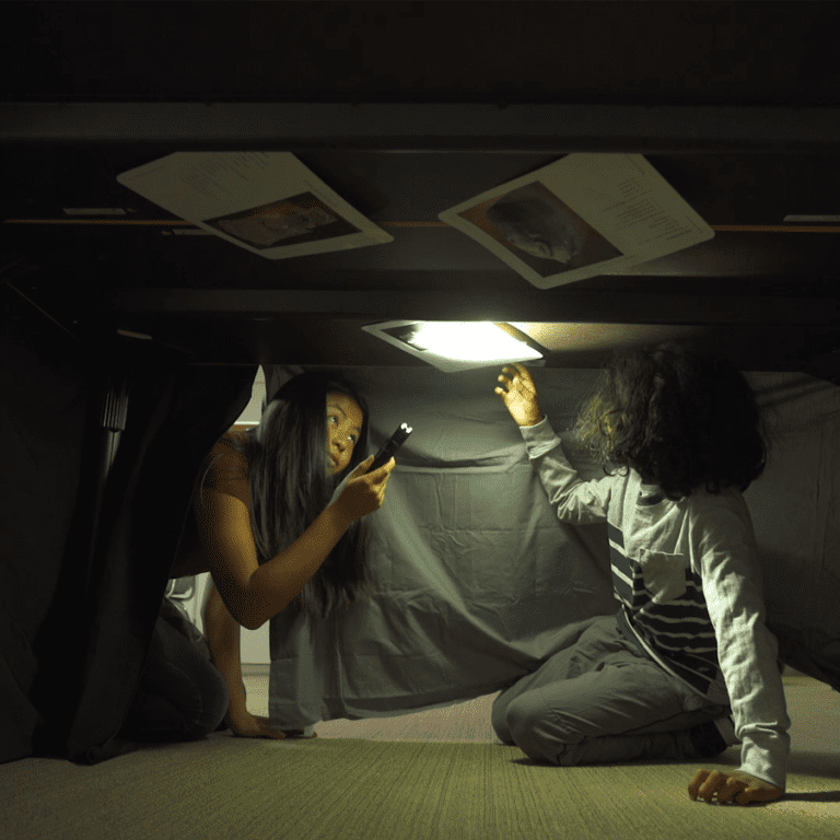 TCI | Engaging K-12 Social Studies Curriculum Resources and Textbooks