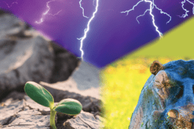 Science - California | TCI