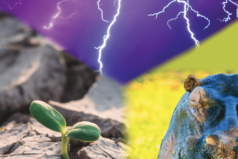 TCI | Interactive K-8 Science Curriculum | Online Science Textbook