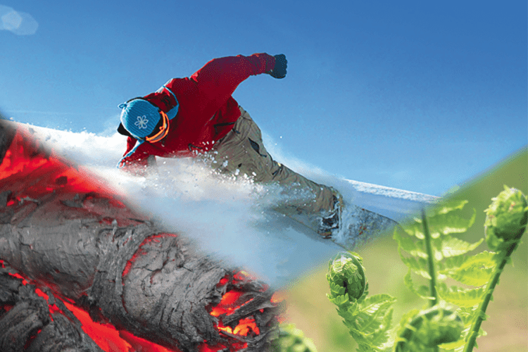 TCI Middle School Integrated Science Curriculum | Interactive Curriculum