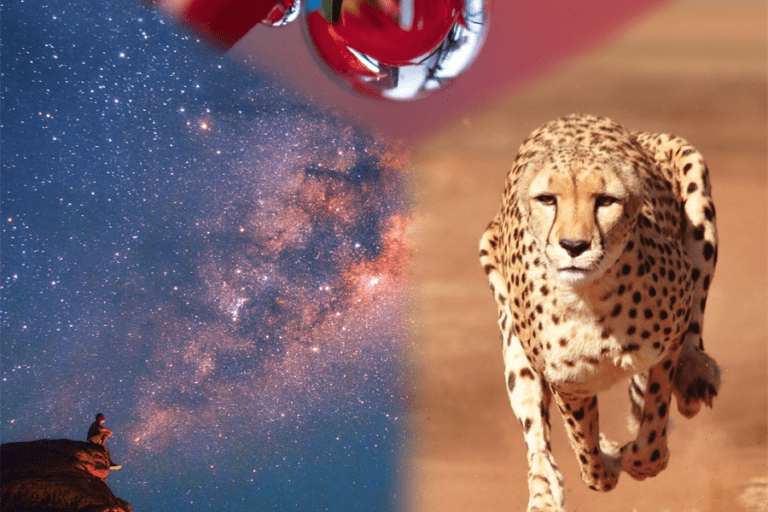 TCI Middle School Integrated Science Curriculum | Interactive Curriculum