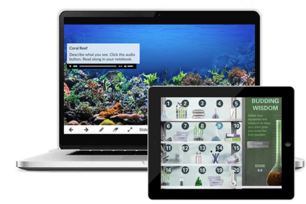 Curriculum Adoption and Implementation | TCI