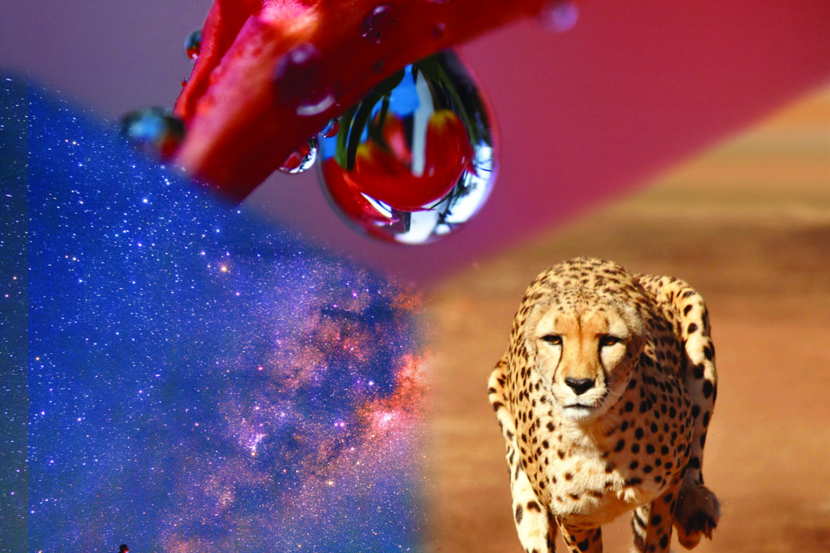 K-5 and Middle School Science Hub | TCI