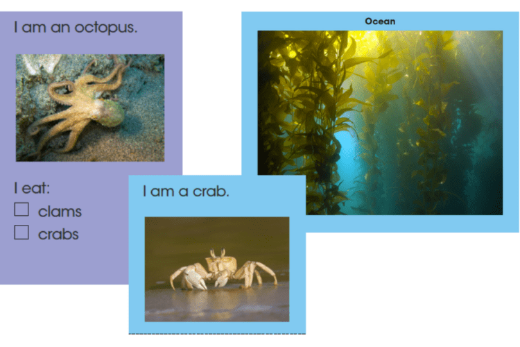 6 Science Lessons with Minimal Prep | TCI