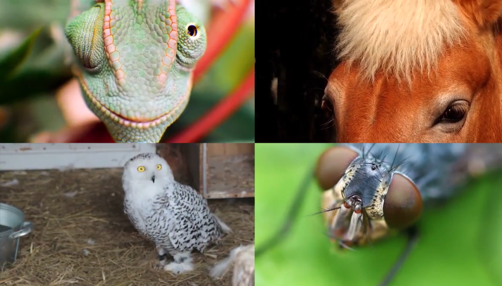 Enrich Science Classrooms with TCI’s Phenomena-Driven Programs | TCI